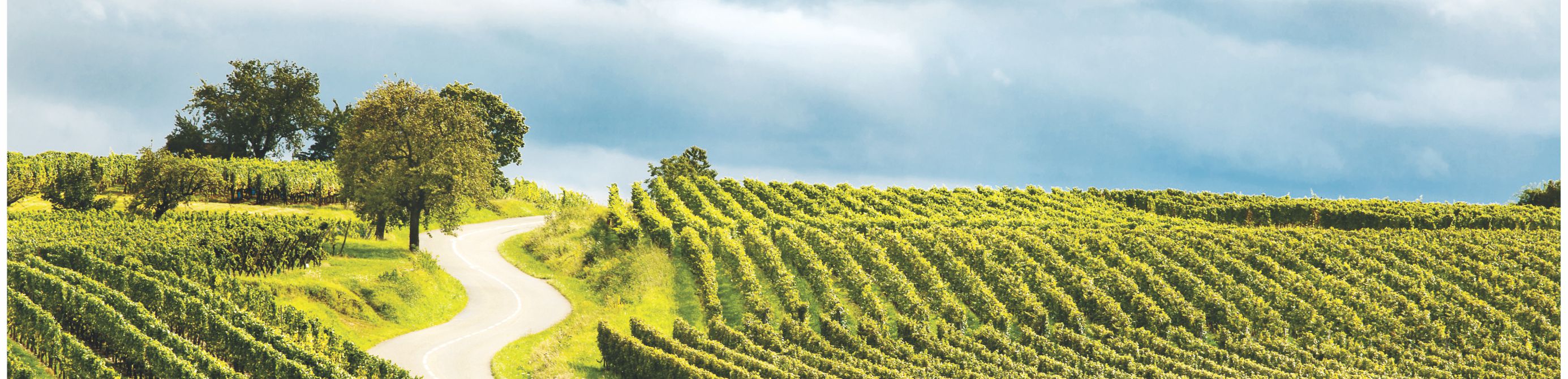 Aditya Microdynamics – Manufacturer Of Chemical Fertilizers and Bio ...