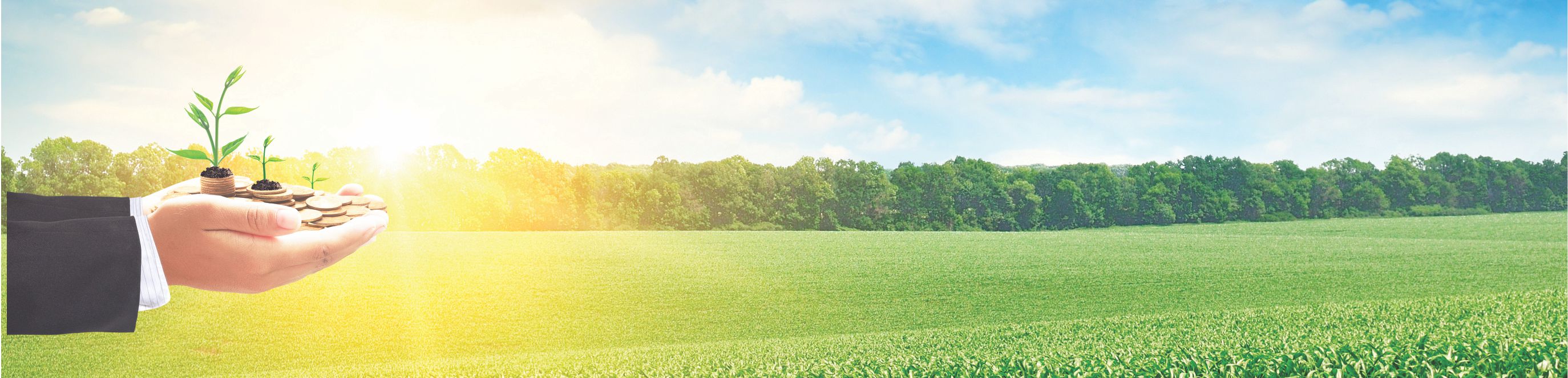 Aditya Microdynamics – Manufacturer Of Chemical Fertilizers and Bio ...